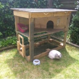 How to Keep a Rabbit Cage from Smelling Bad — Rabbit Care Tips