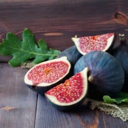 What To Feed Baby Rabbits — Rabbit Care Tips